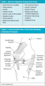 Evaluation of Knee Pain: An Urgent Care Approach - Journal of Urgent ...