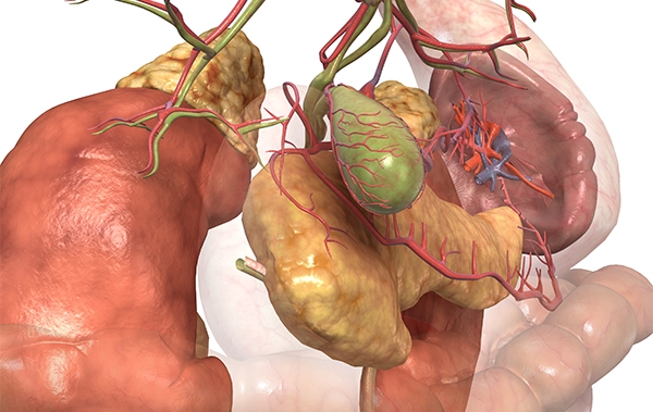 Hyperbilirubinemia: An Urgent Care Approach