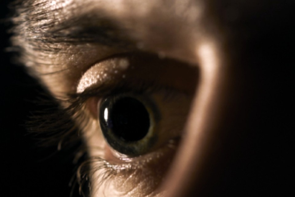 An Unresponsive Pupil in the Urgent Care: Can A Diagnosis Be Made from ...