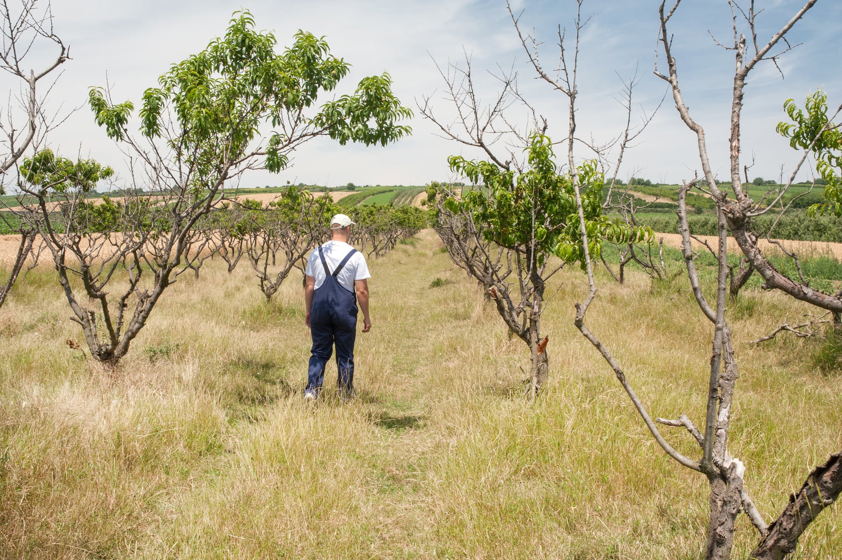 Healthcare Access Is About to Get Even Worse in Rural Areas. Can Urgent ...