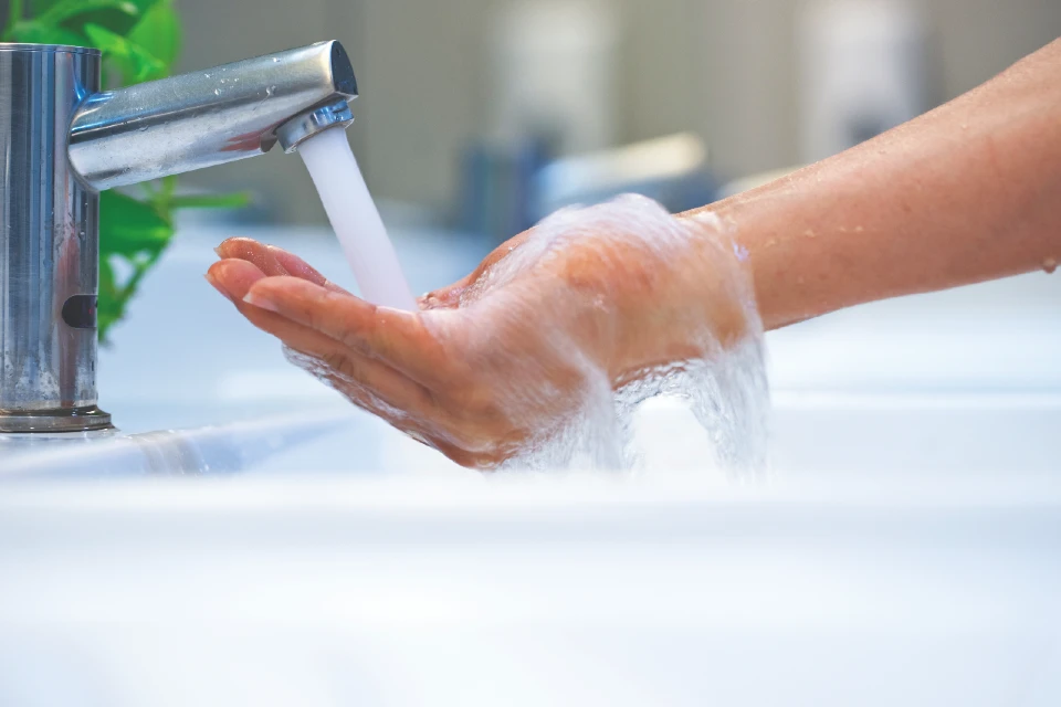 Hot Water Irrigation to Relieve Discomfort After Wasp and Bee ...